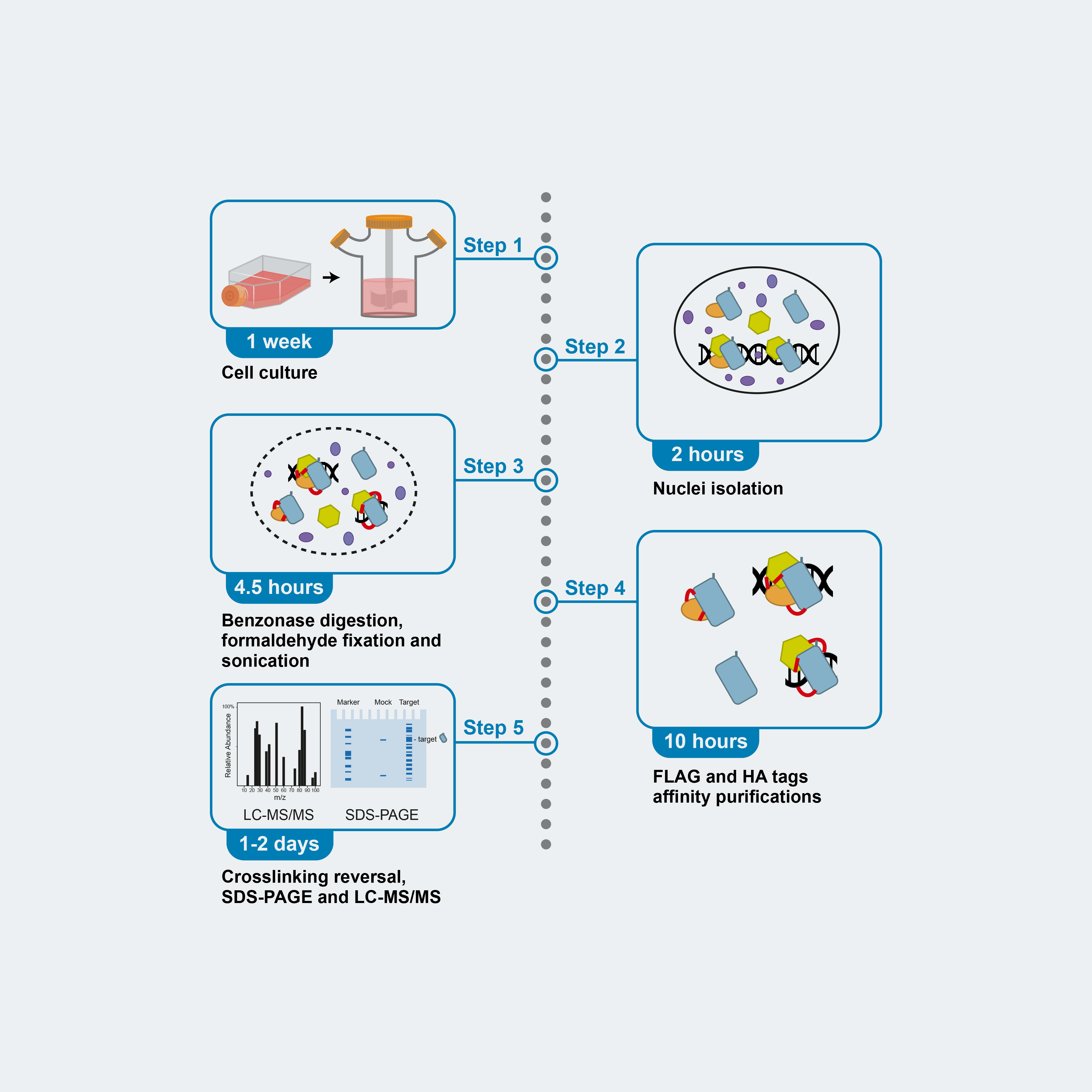 Reproducibility, transparency and access to biomedical research ...