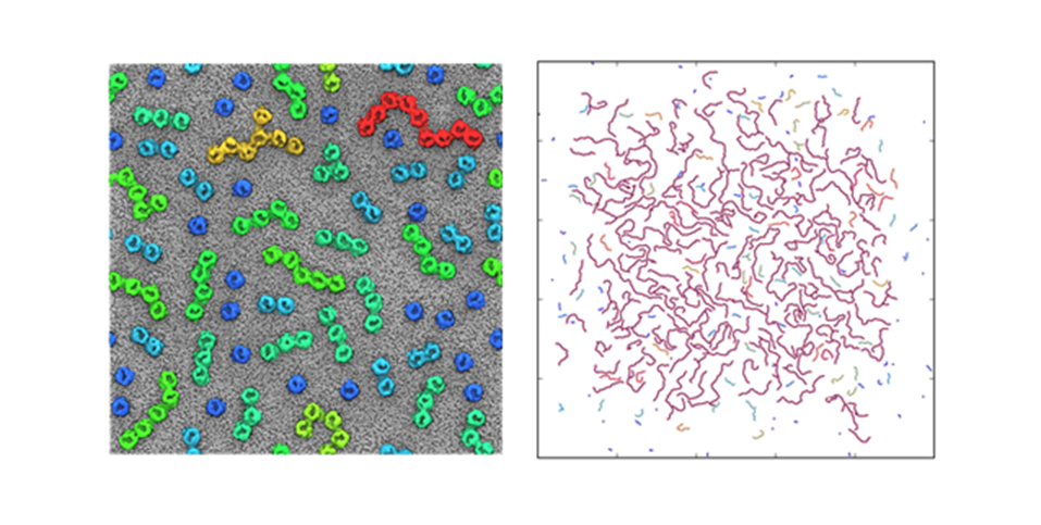 A Summer of Simulations | Biochemistry